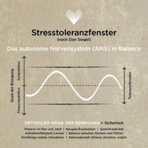 Stresstoleranzfenster, Stressverarbeitung (Window of Tolerance)