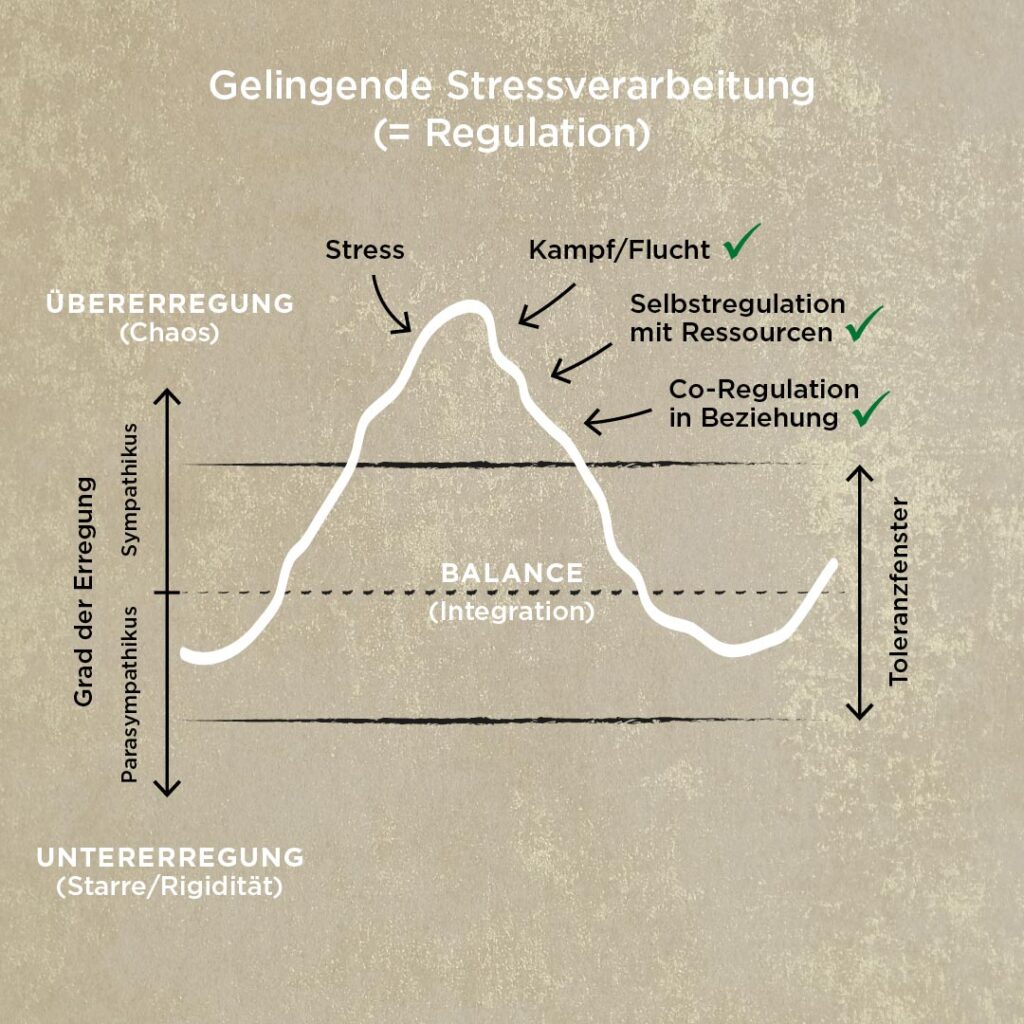 Stresstoleranzfenster, Stressverarbeitung (Window of Tolerance)